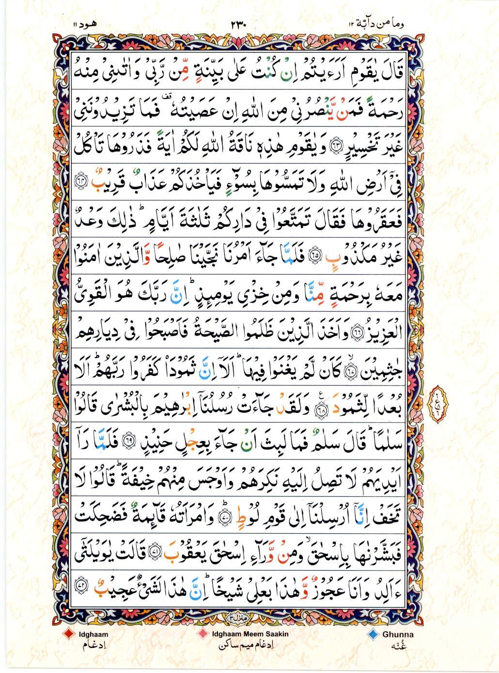Read 15 Lines Coloured Coded Quran Part 12 Page No 230, Practice Quran