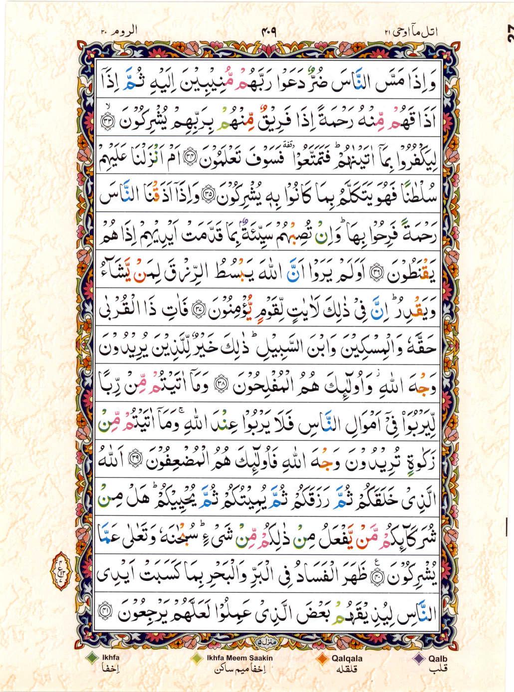 Read 15 Lines Coloured Coded Quran Part 21 Page No 409, Practice Quran