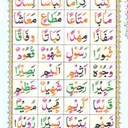 Read Colored Coded Mobile Noorani Qaidah, Practice Quran